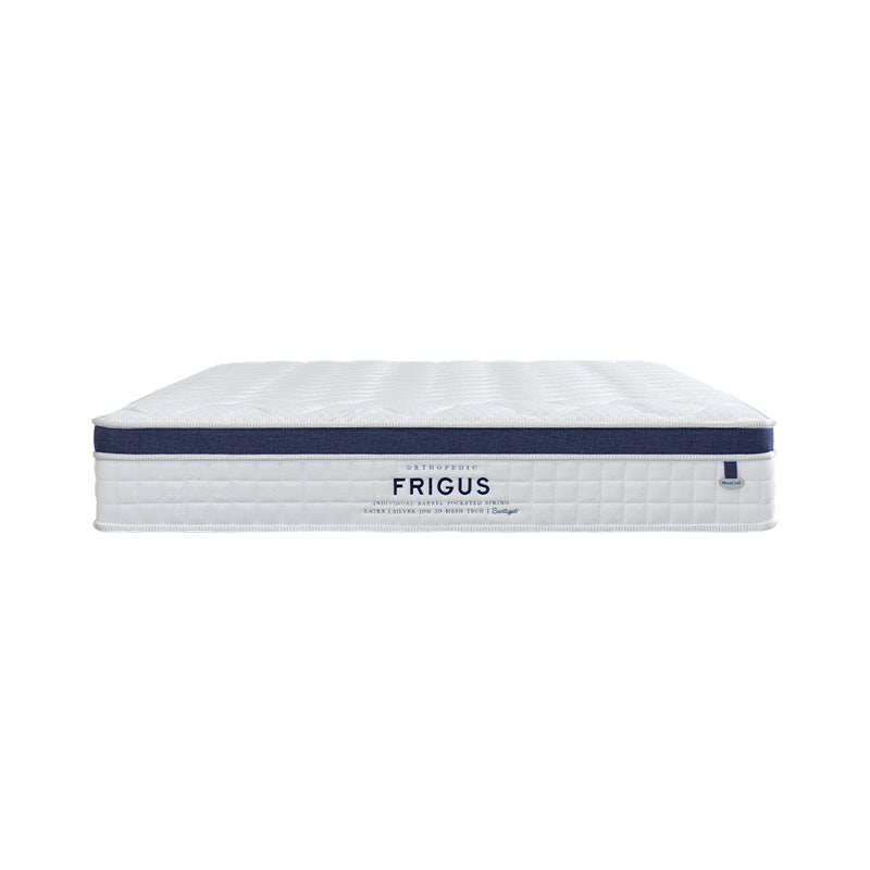 Ice Sleep Frigus 11" Pocketed Spring Mattress – Mattress International